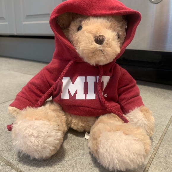 Chelsea Teddy Brand | Toys | Massachusetts Institute Of Technology Mit ...